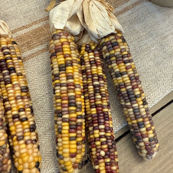 Holiday | Decorative Indian Corn | Poshmark
